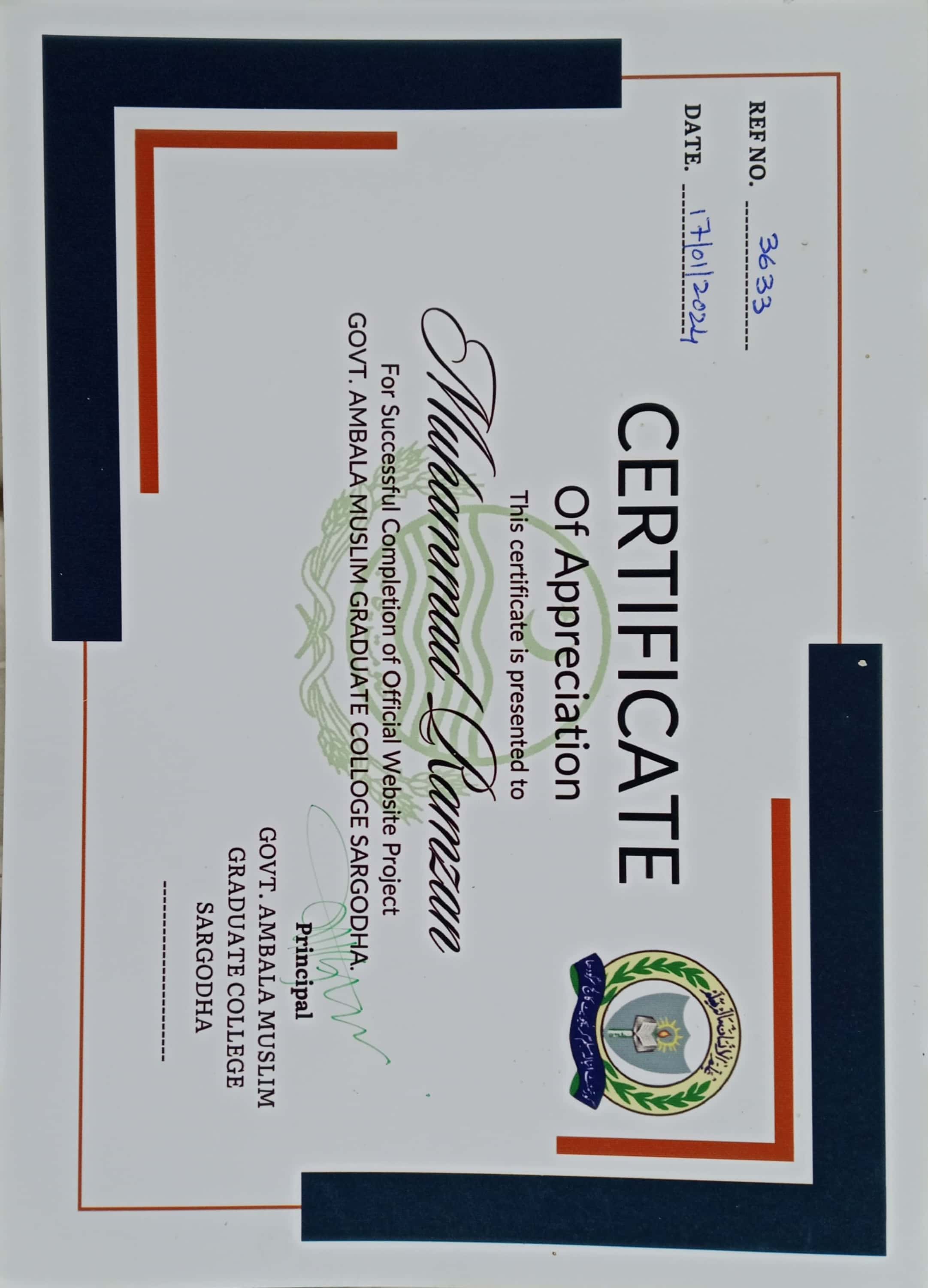 Muhammad Ramzan Developer